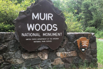 Muir Woods National Monument - Muir Woods